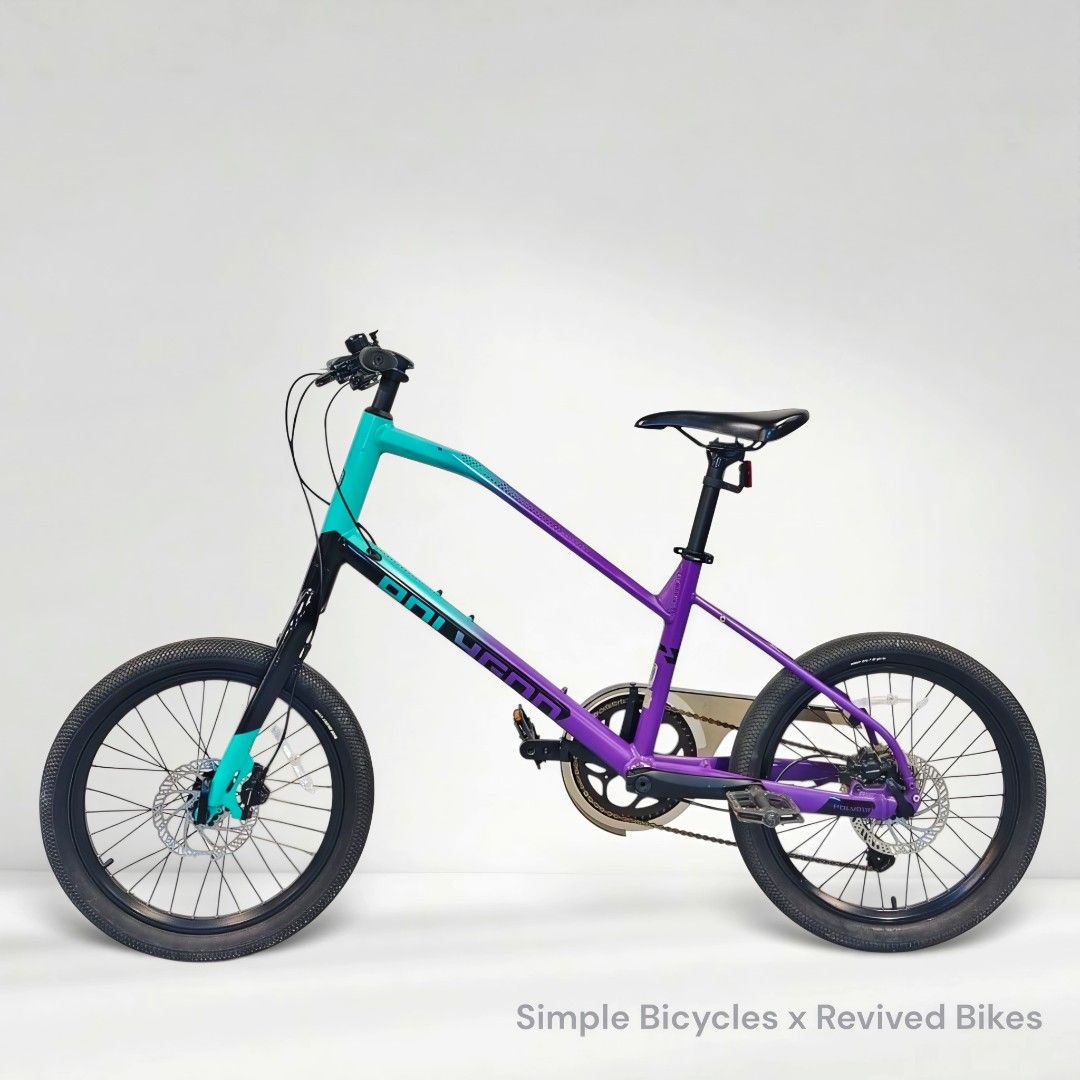 Polygon Zeta 2 Mini Velo Bike - 10 speed Shimano Tiagra gear groupset ...