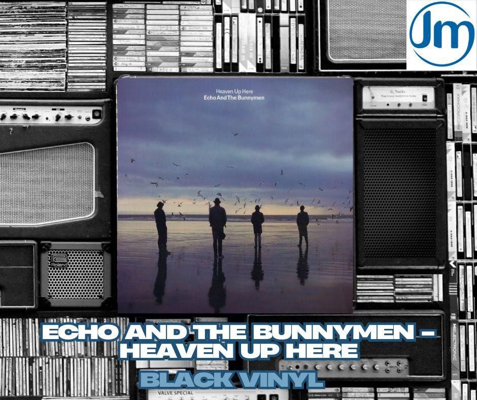 Echo And The Bunnymen vinyl/plaka, Hobbies & Toys, Music & Media ...