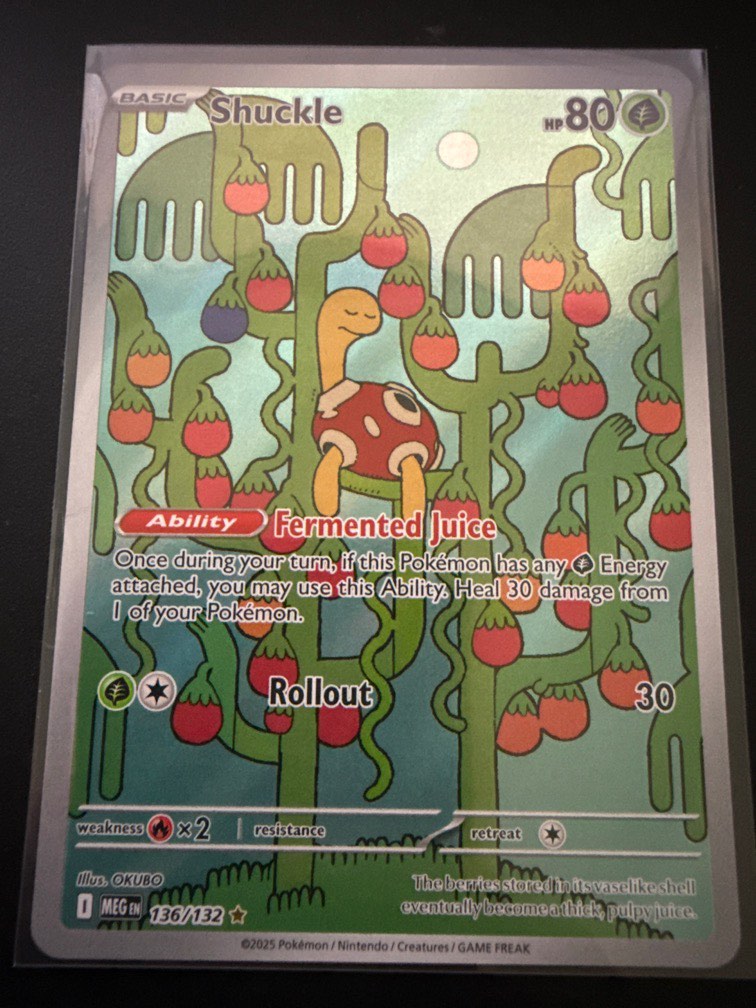 Mega Evolution - Shuckle (Pokemon), Hobbies & Toys, Toys & Games on ...