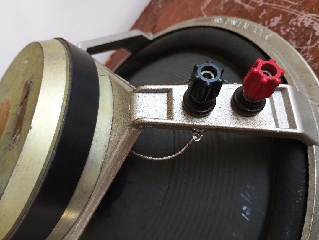Vintage Wharfedale RS12DD fullrange speaker driver (1 unit only), Audio ...