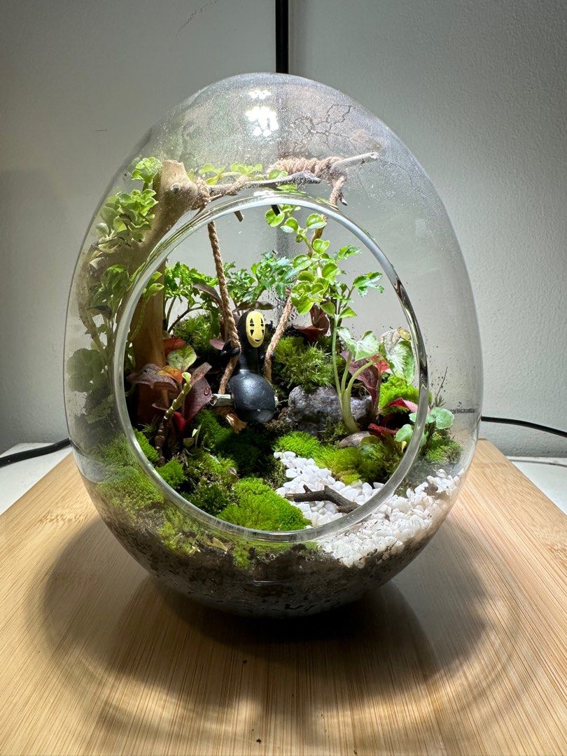 🥚 Anime Haven Egg Terrarium 🌿, Furniture & Home Living, Home Decor ...