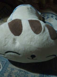 Bantal kucing Dijual | Carousell Indonesia
