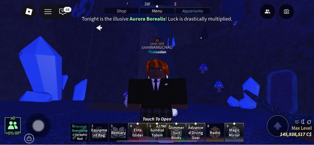 Roblox fisch account, max level., Video Gaming, Gaming Accessories, In ...