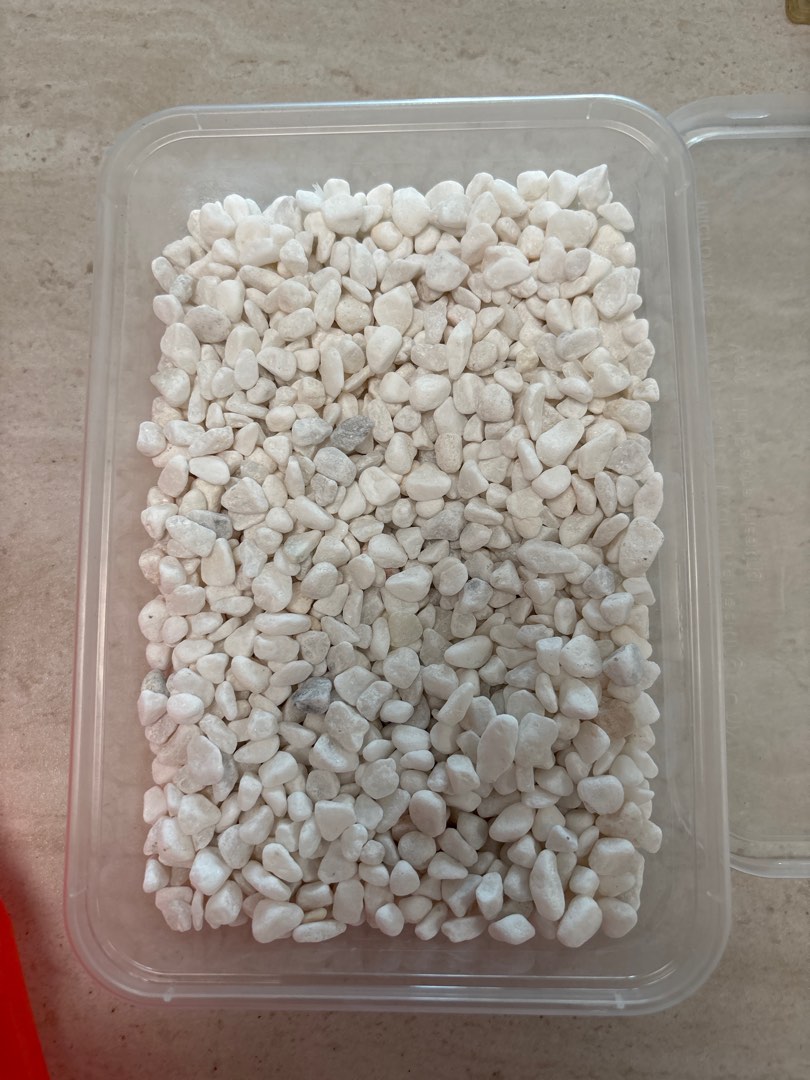 White Decorative Stones in Container, Furniture & Home Living, Home ...