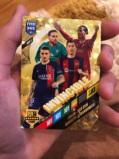 Panini Premier League Extremely Rare Invincible Trading Card, Hobbies ...