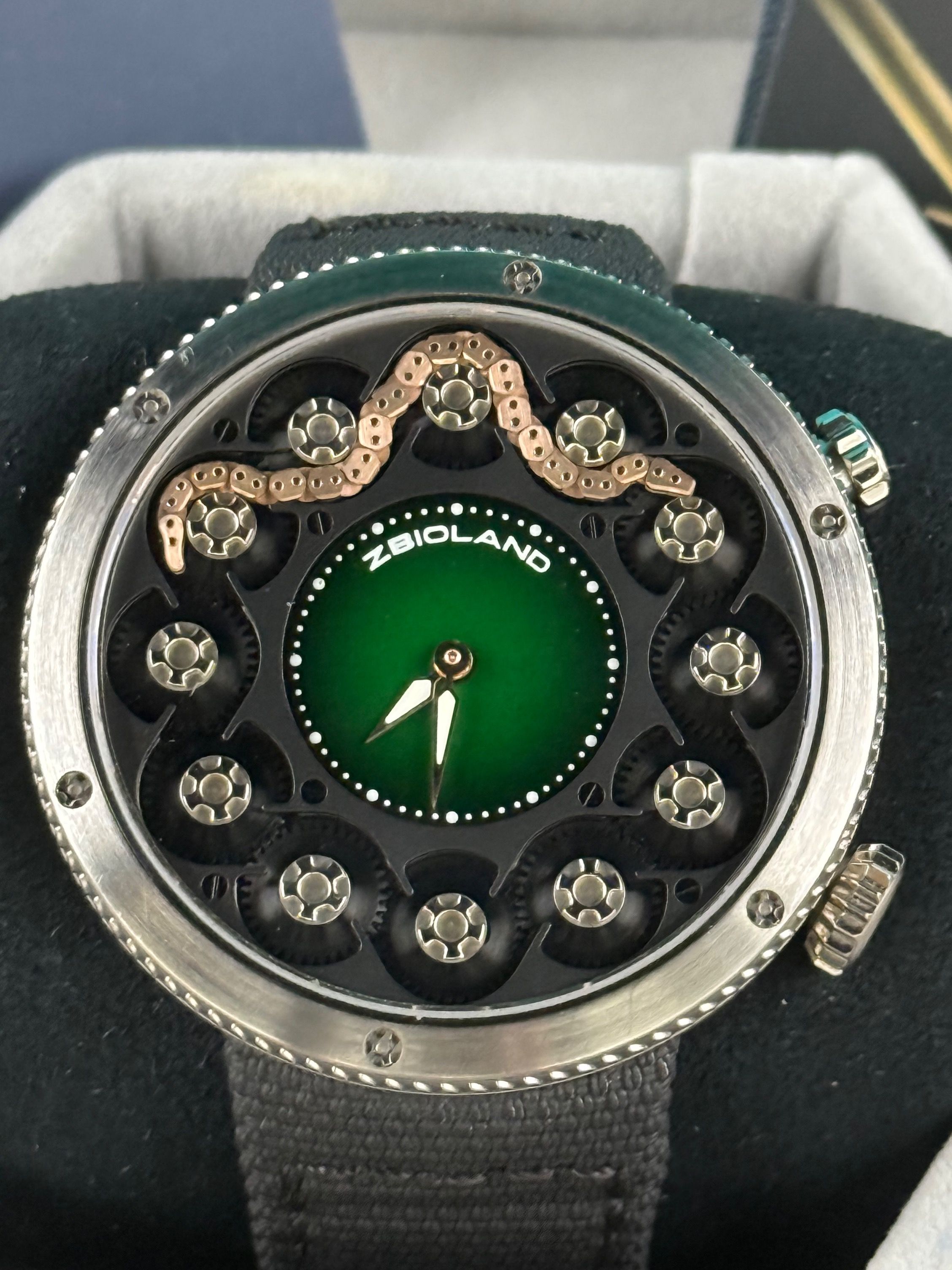 Brand New Zbioland Snake Complete Set, Luxury, Watches on Carousell