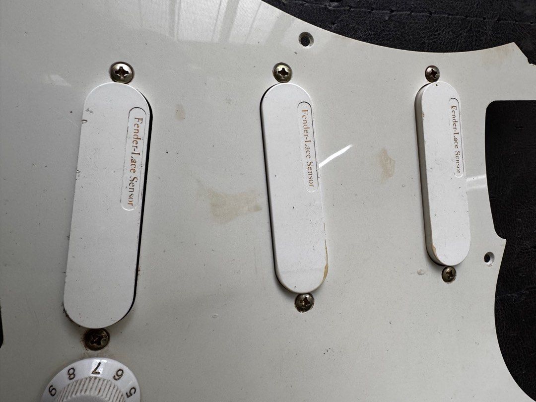 Fender Lace Sensor Stratocaster Pickup Assembly, Hobbies & Toys, Music ...