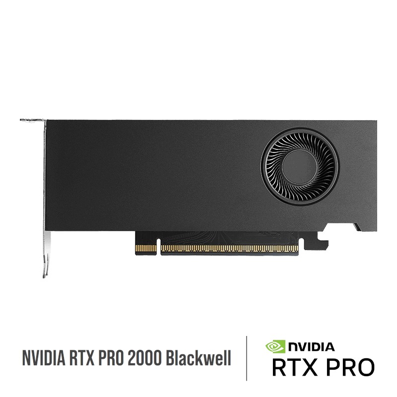 NVIDIA RTX PRO™ 2000 Blackwell Generation 16GB GDDR7 with ECC 900-5G195 ...