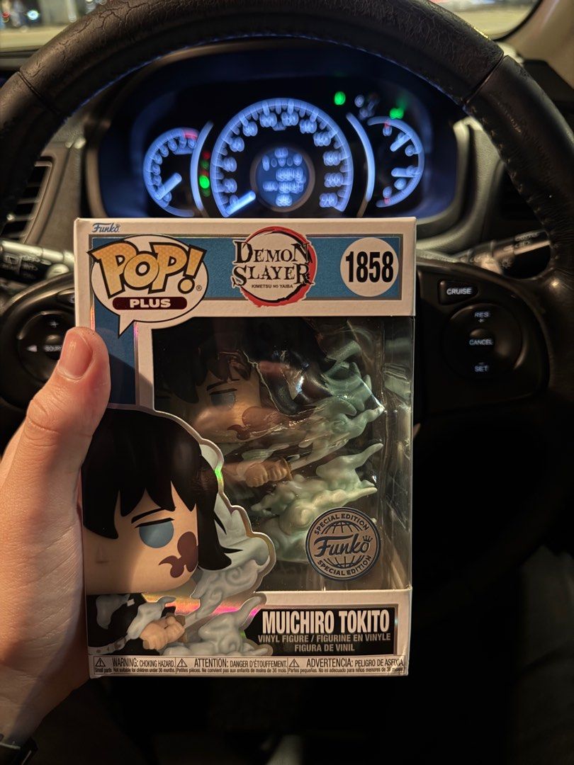 Funko Pop! Plus Demon Slayer Muichiro Tokito #1858, Hobbies & Toys ...