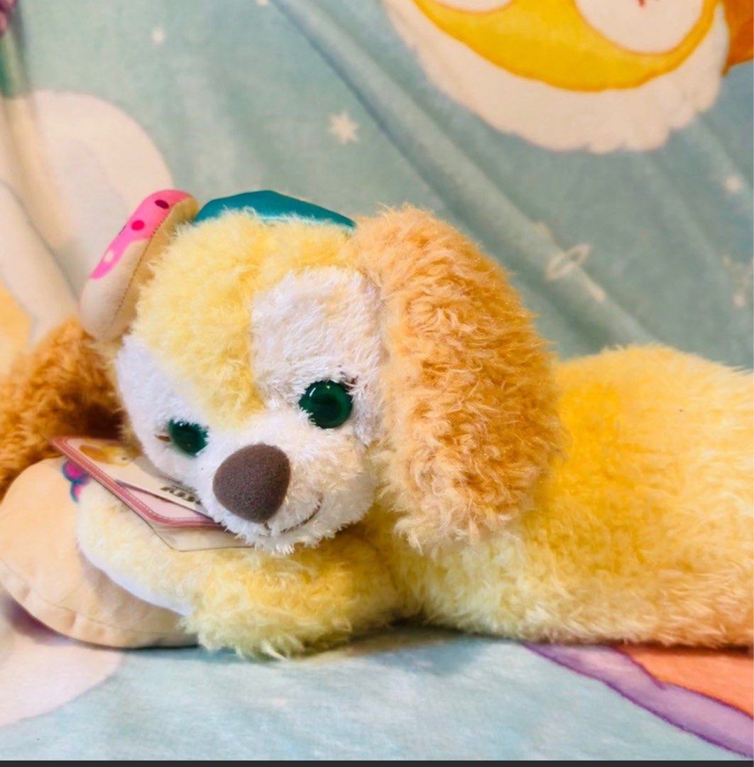 [棄坑多圖不散全走，睇內容] Disney Disneyland 迪士尼樂園 Duffy and friends Dnf shelliemay ...