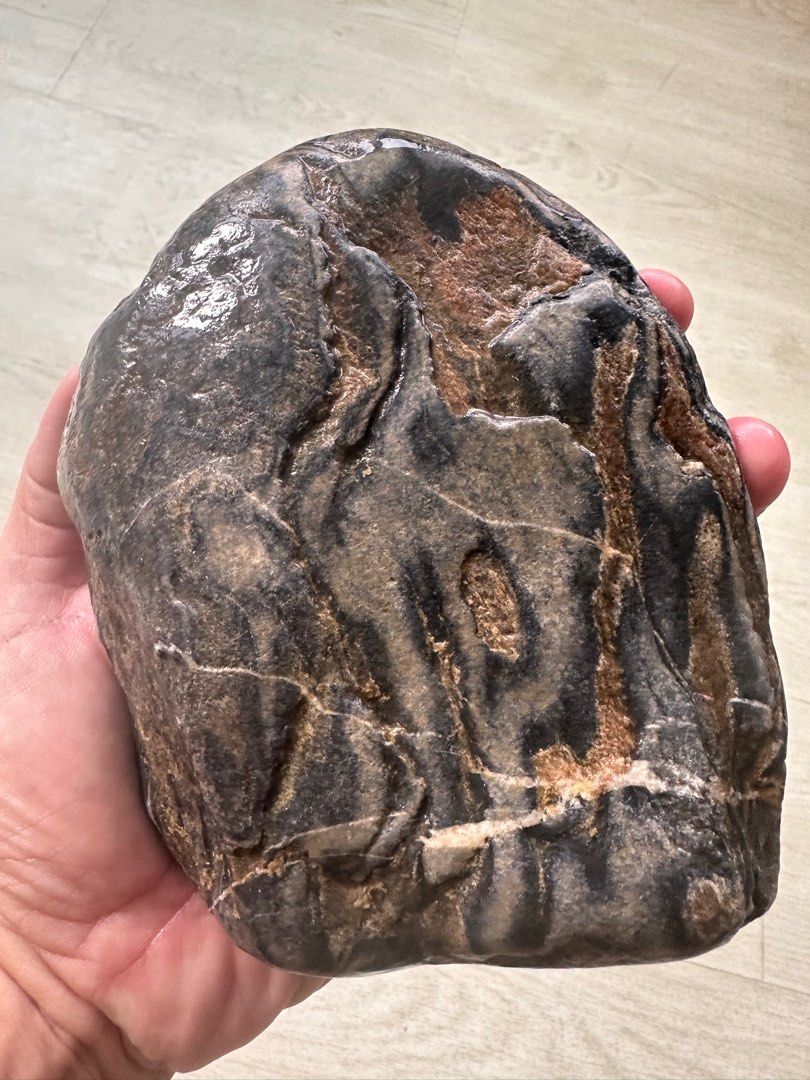 Aquatic river rock fish tank aquarium bonsai garden decor display ...