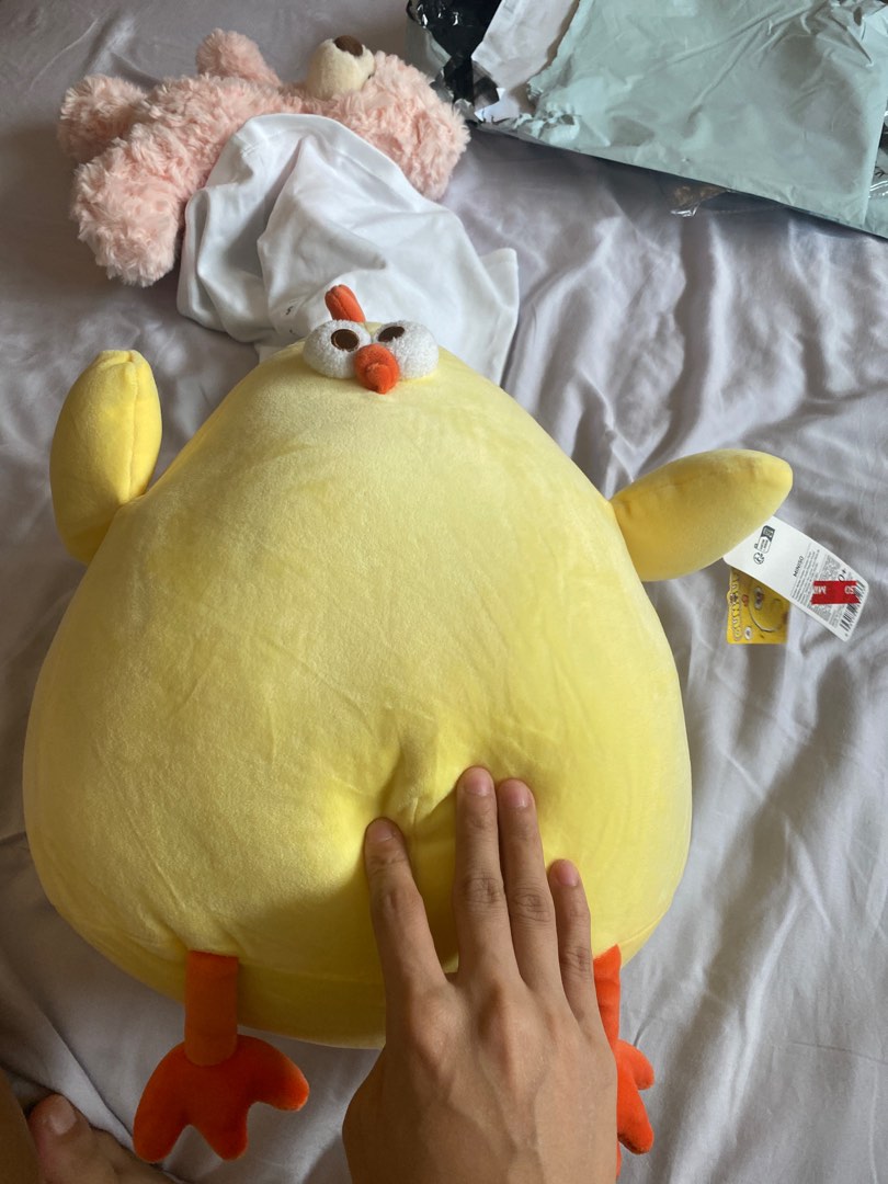 Miniso dundun chicken, Hobbies & Toys, Toys & Games on Carousell