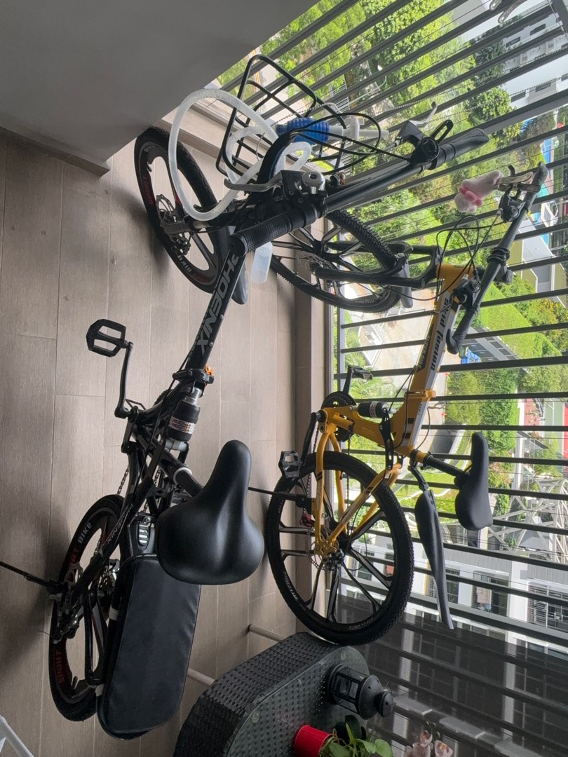 Phoenix and Mini Bike Folding Bikes, Sports Equipment, Bicycles & Parts ...