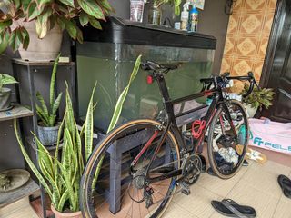 Twitter Thunder RS Road Bike, Sports Equipment, Bicycles & Parts ...