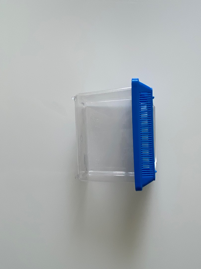 Blue Plastic Fish Tank with Handle, Pet Supplies, Homes & Other Pet ...