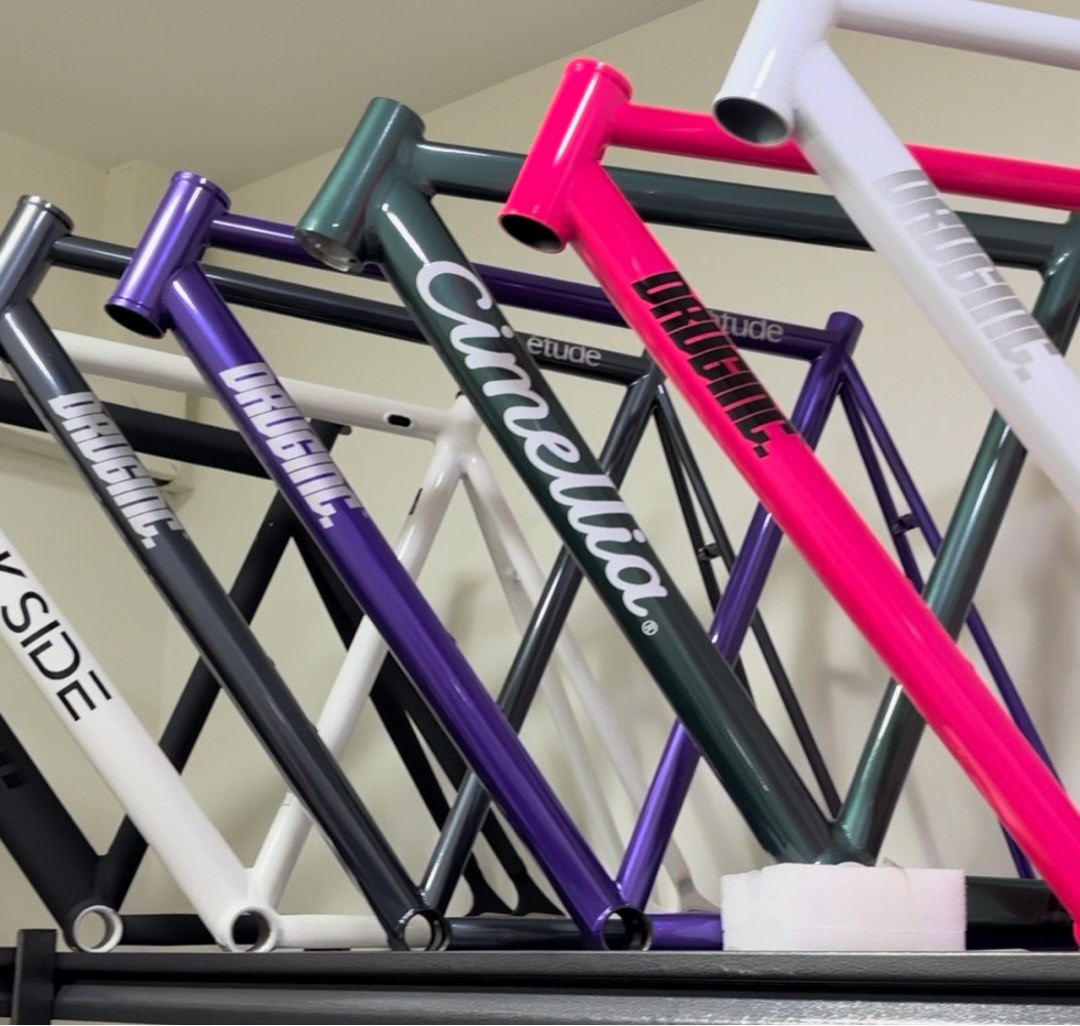 DrugInc étude Fixie Fixed Gear Frameset, Sports Equipment, Bicycles ...