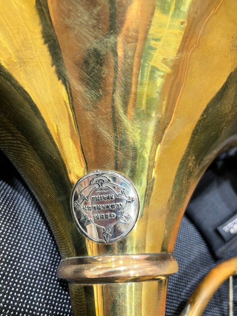 Gebr. Alexander Mainz Model 90 (1970s), Hobbies & Toys, Musical ...