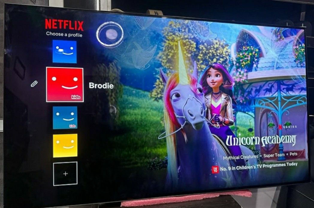 LG 48吋 48inch OledC1 Oled 4K 120hz Smart tv 智能電視, 家庭電器, 電視 & 其他娛樂, 電視 ...