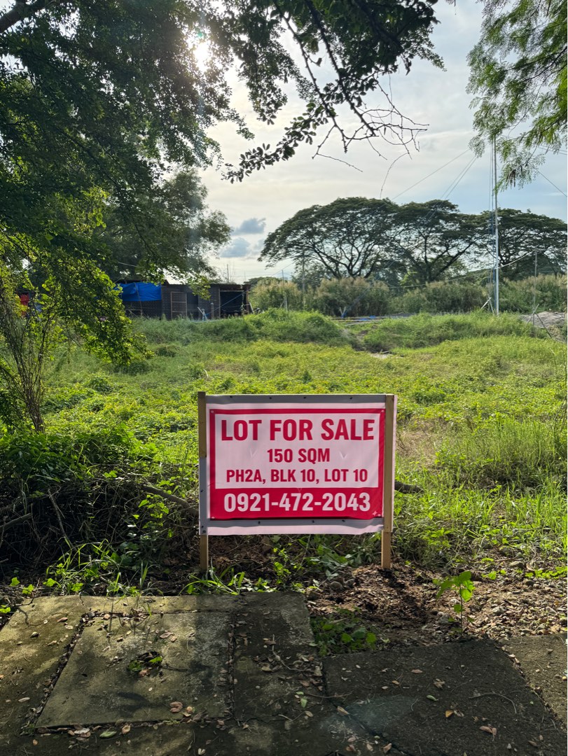 iloilo metropolis lot for sale - View all iloilo metropolis lot for ...