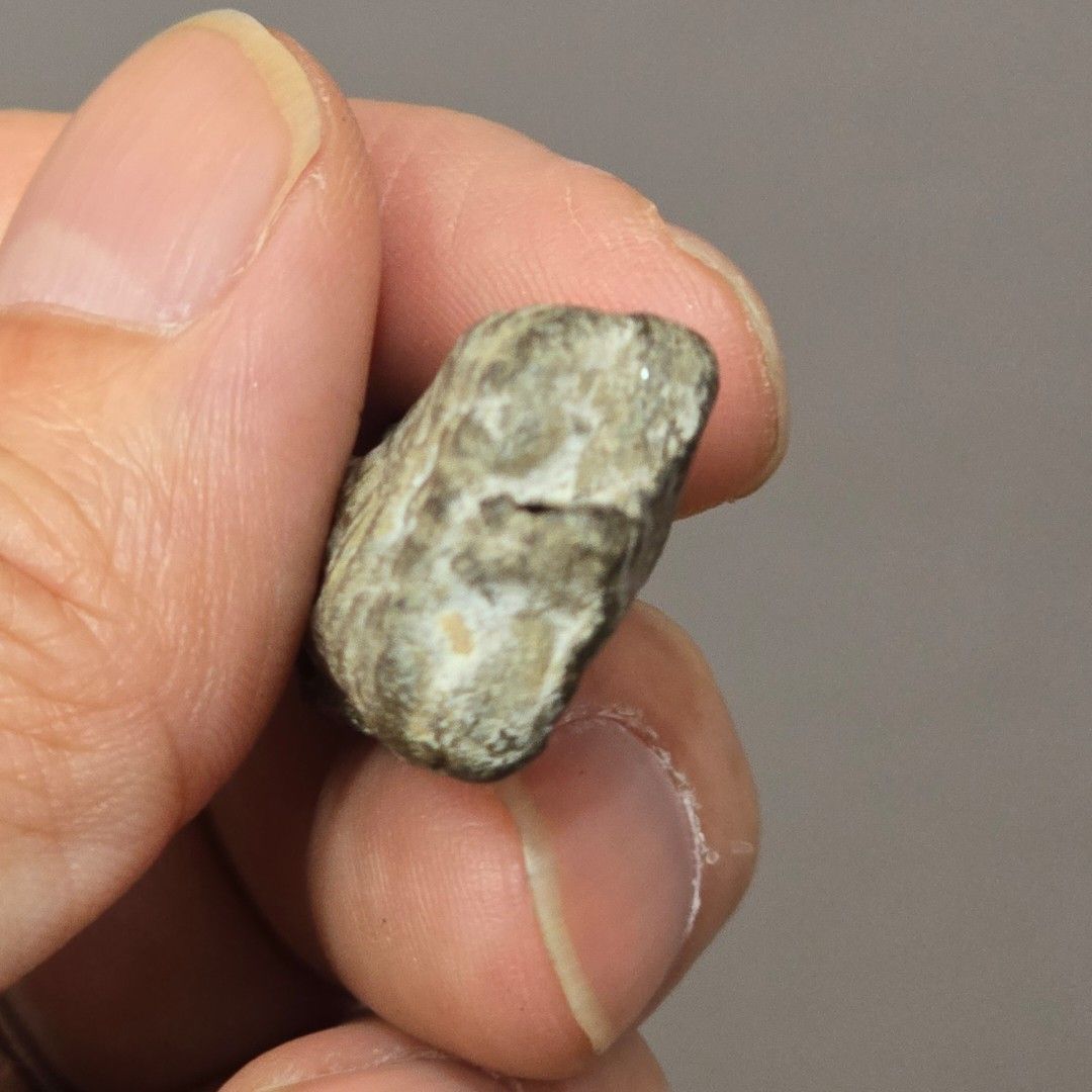 Luang Pu Thuat, made from herbal powder, Wat Khuan Wiset , Trang ...