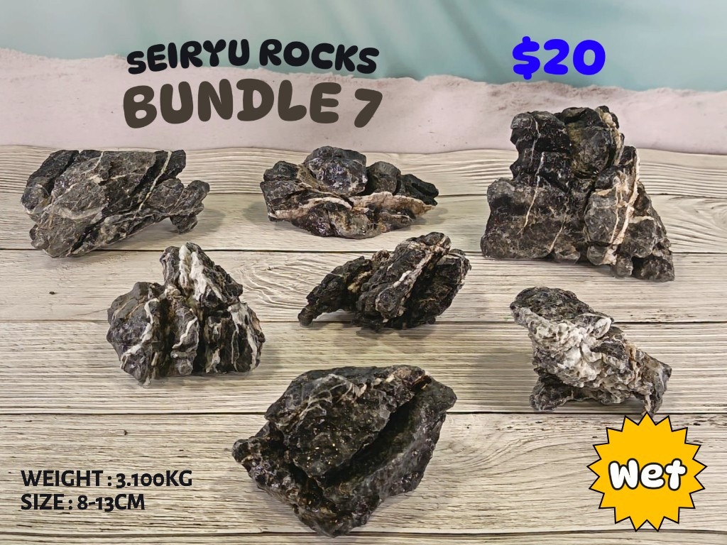 Seiryu rocks - Bundle 7 (set of 7 pcs), Pet Supplies, Homes & Other Pet ...