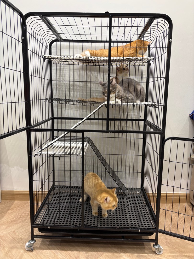 Large Cat Cage with Multiple Tiers, Pet Supplies, Homes & Other Pet ...