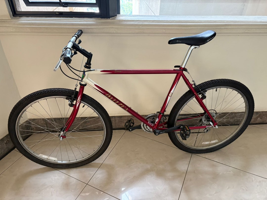 Retro Vintage Breezer Storm Mountain Bike 1993, Sports Equipment ...