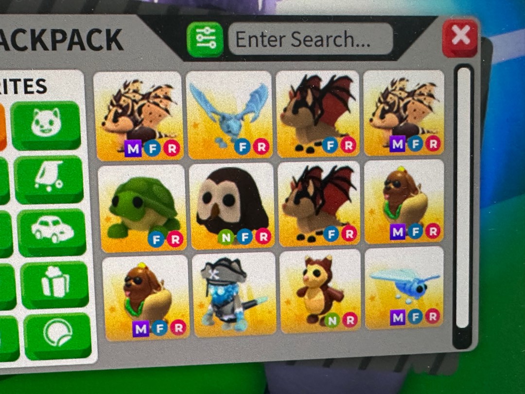 Adopt Me Pets (ADM), Video Gaming, Gaming Accessories, In-Game Products ...