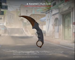 CS2 Karambit | Bright Water | Field-Tested, Video Gaming, Gaming ...