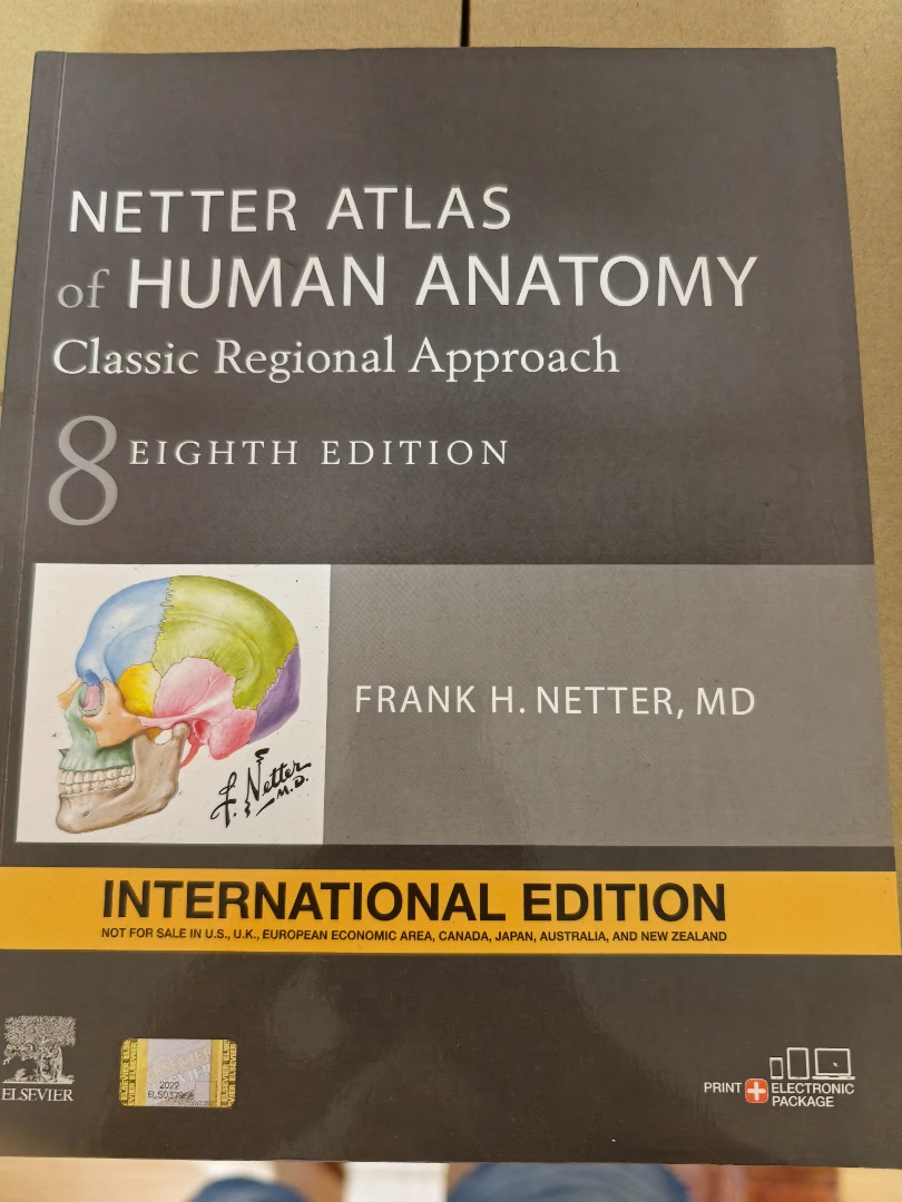 Netter Atlas of Human Anatomy, Hobbies & Toys, Books & Magazines ...