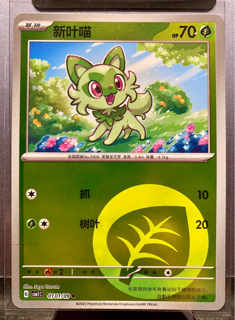 Sprigatito #101 Holo Chinese, Hobbies & Toys, Toys & Games on Carousell