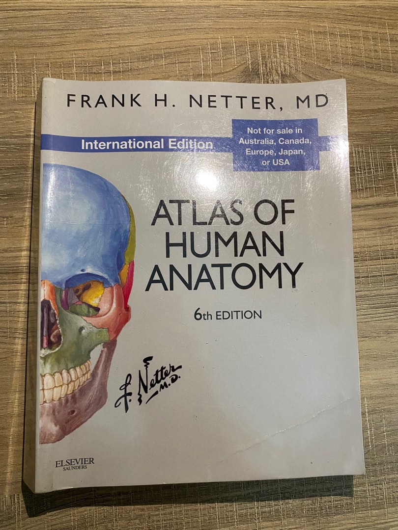 Frank H Netter ATLAS OF HUMAN ANATOMY 6th edition, Hobbies & Toys ...