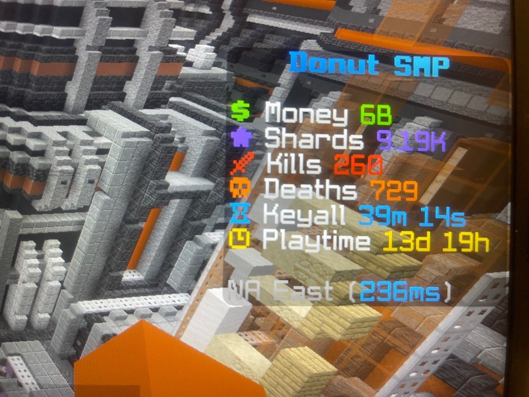 Minecraft Donut SMP Money, Elytra, skellies, Video Gaming, Video Games ...