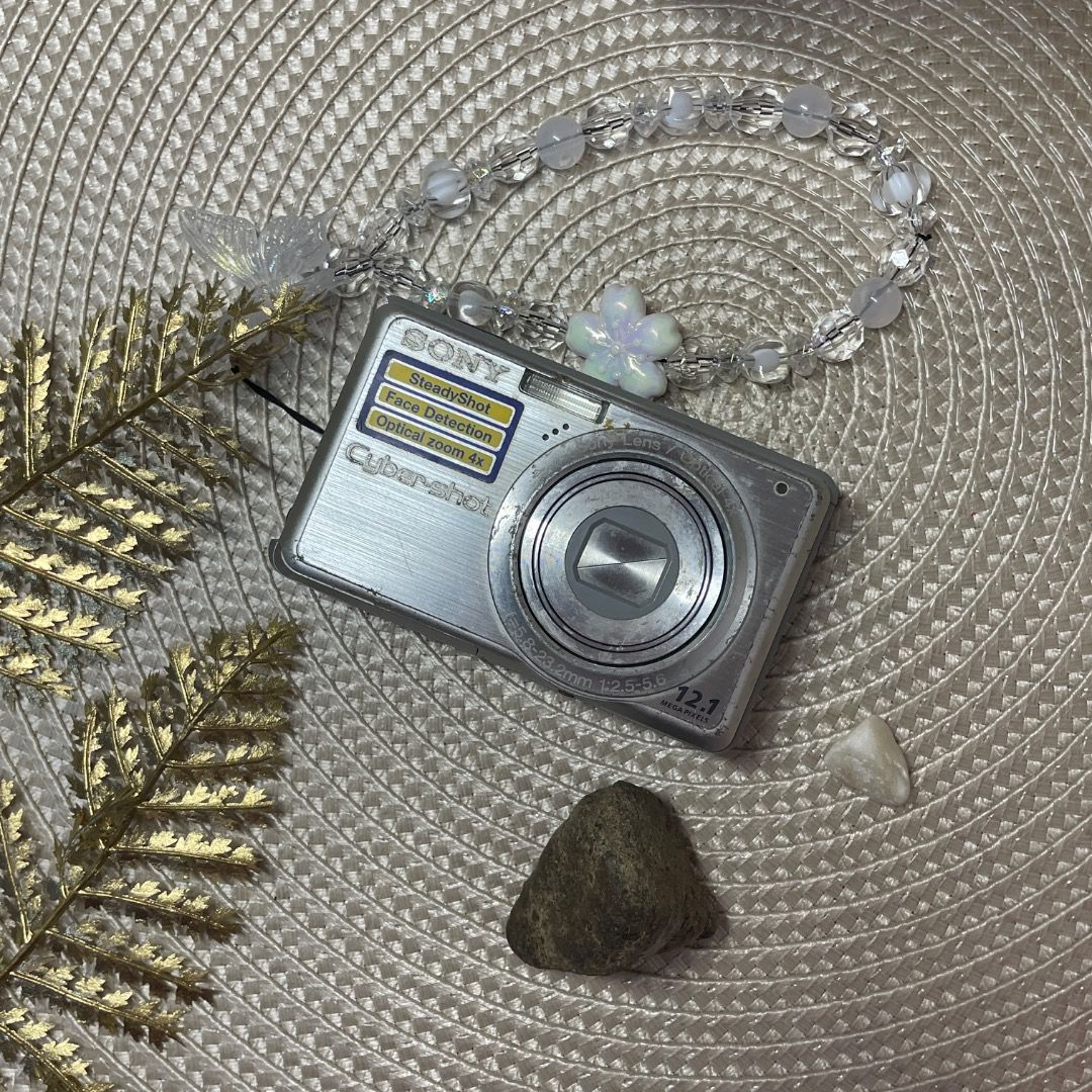SONY CYBERSHOT DSC- S980 DIGITAL CAMERA DIGICAM, Photography, Cameras ...