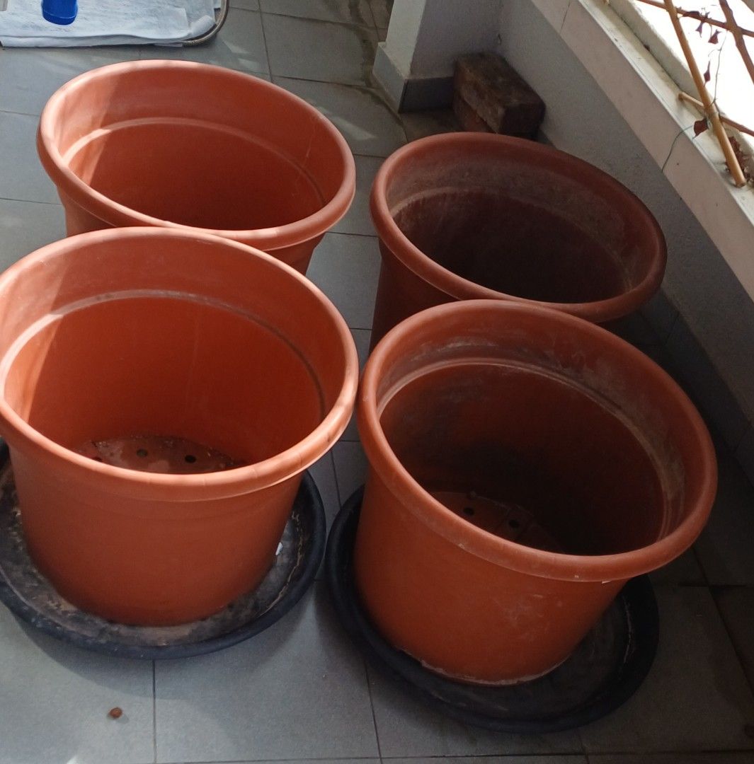 Extra Large Orange Plastic Pots, Furniture & Home Living, Gardening ...