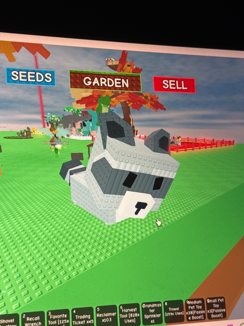 Mega Raccoon, Grow a Garden, Video Gaming, Video Games, Others on Carousell