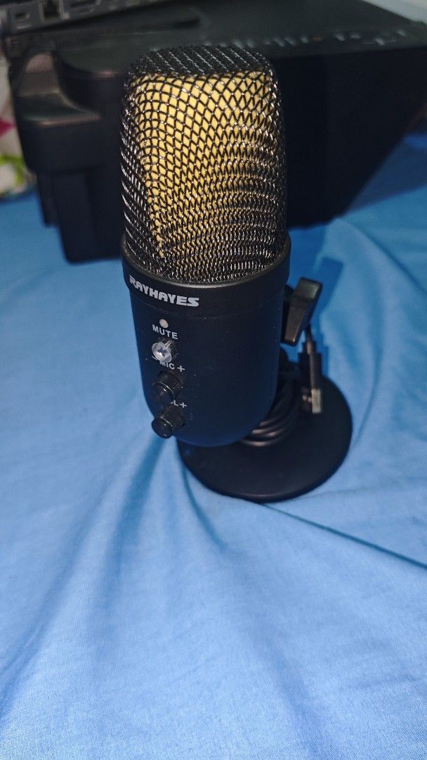 RAYHAYES Condenser Microphone USB Gaming Mic For Live Recording Video ...