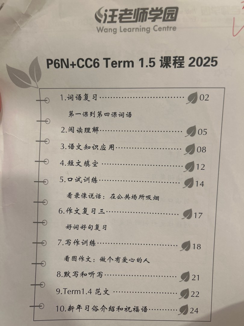 Wang Learning Center P6N 2025 and P6 H 2023, Hobbies & Toys, Books ...