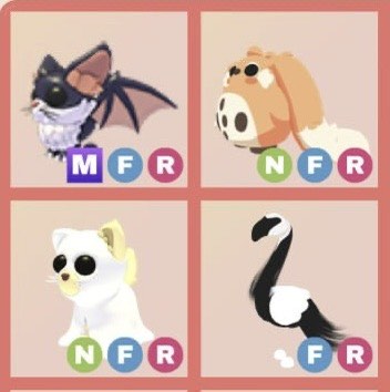 [CHECK DESC‼️] WTS FR/NFR/MFR | Kitty Bat | Cabbit | Ghostly Cat ...