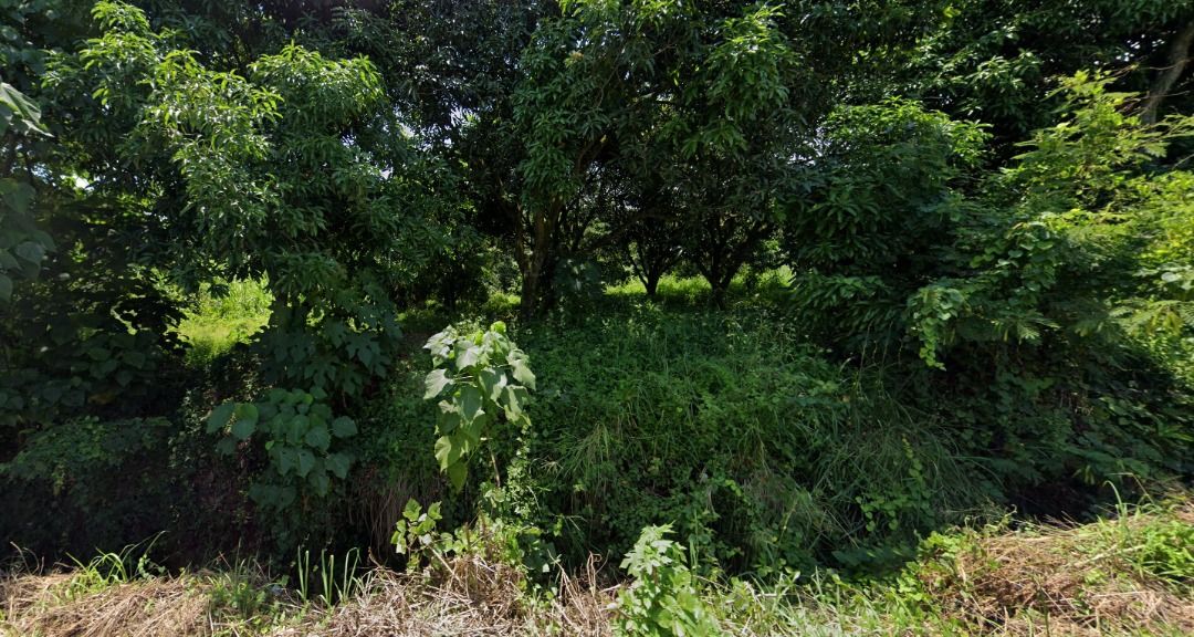 FOR SALE OR JOINT VENTURE - Agricultural Land in Davao-Digos Road, Brgy ...