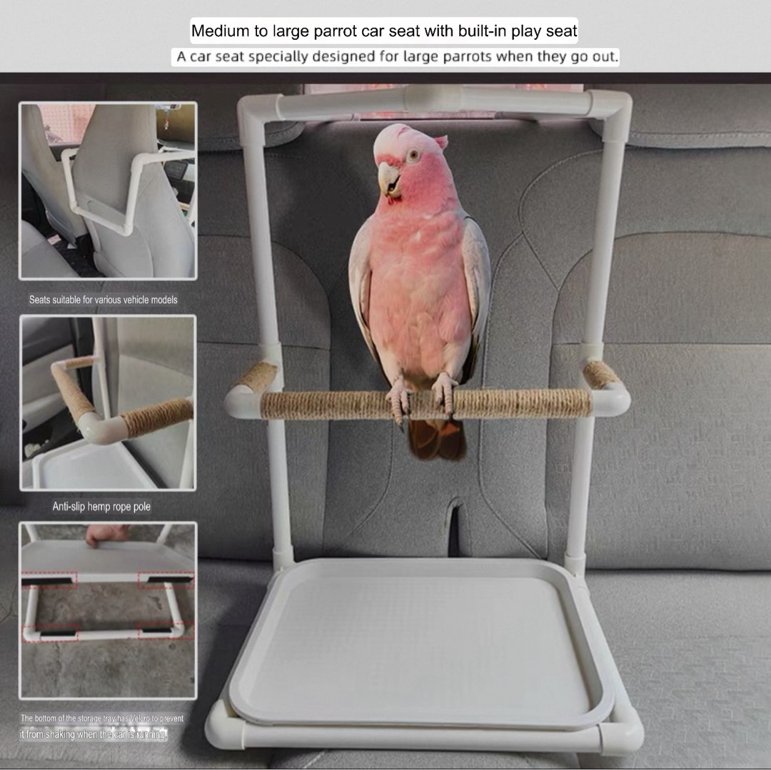 New parrot car stand transport fits most cars, Pet Supplies, Homes ...