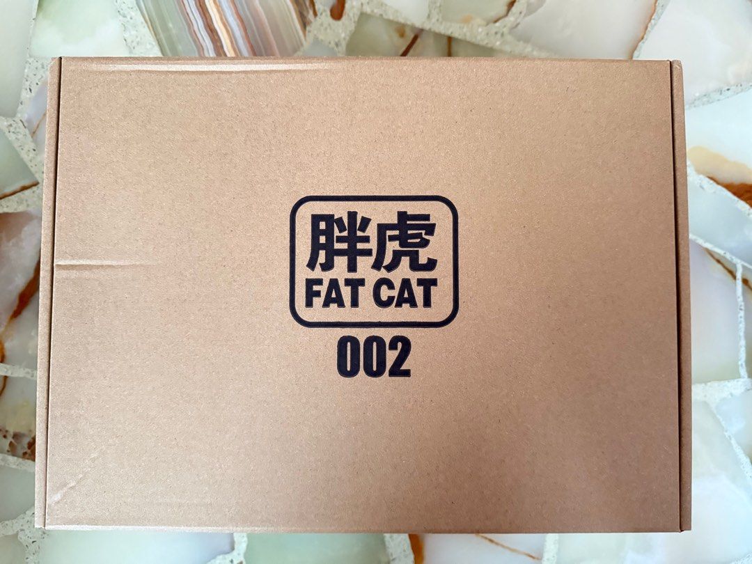 ⚜️Ready Stock⚜️ Fat Cat Tiger RG 1/100 God Fighter Model Kit 胖虎模型 ...