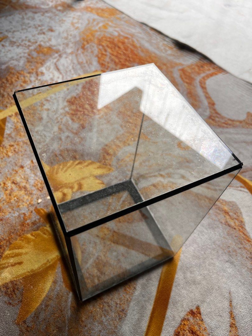 Terrarium Glass Display, Furniture & Home Living, Home Decor, Other ...