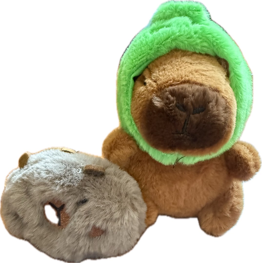 Capybara Plush Toy with Avocado Hood, Hobbies & Toys, Toys & Games on ...
