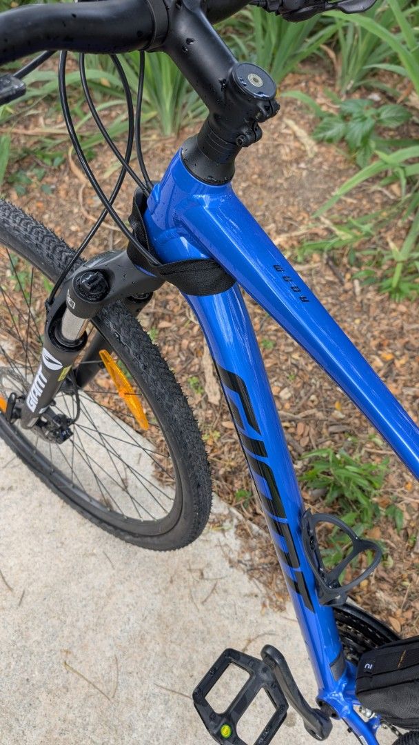 Giant Roam 4 Disc Blue, Sports Equipment, Bicycles & Parts, Bicycles on ...