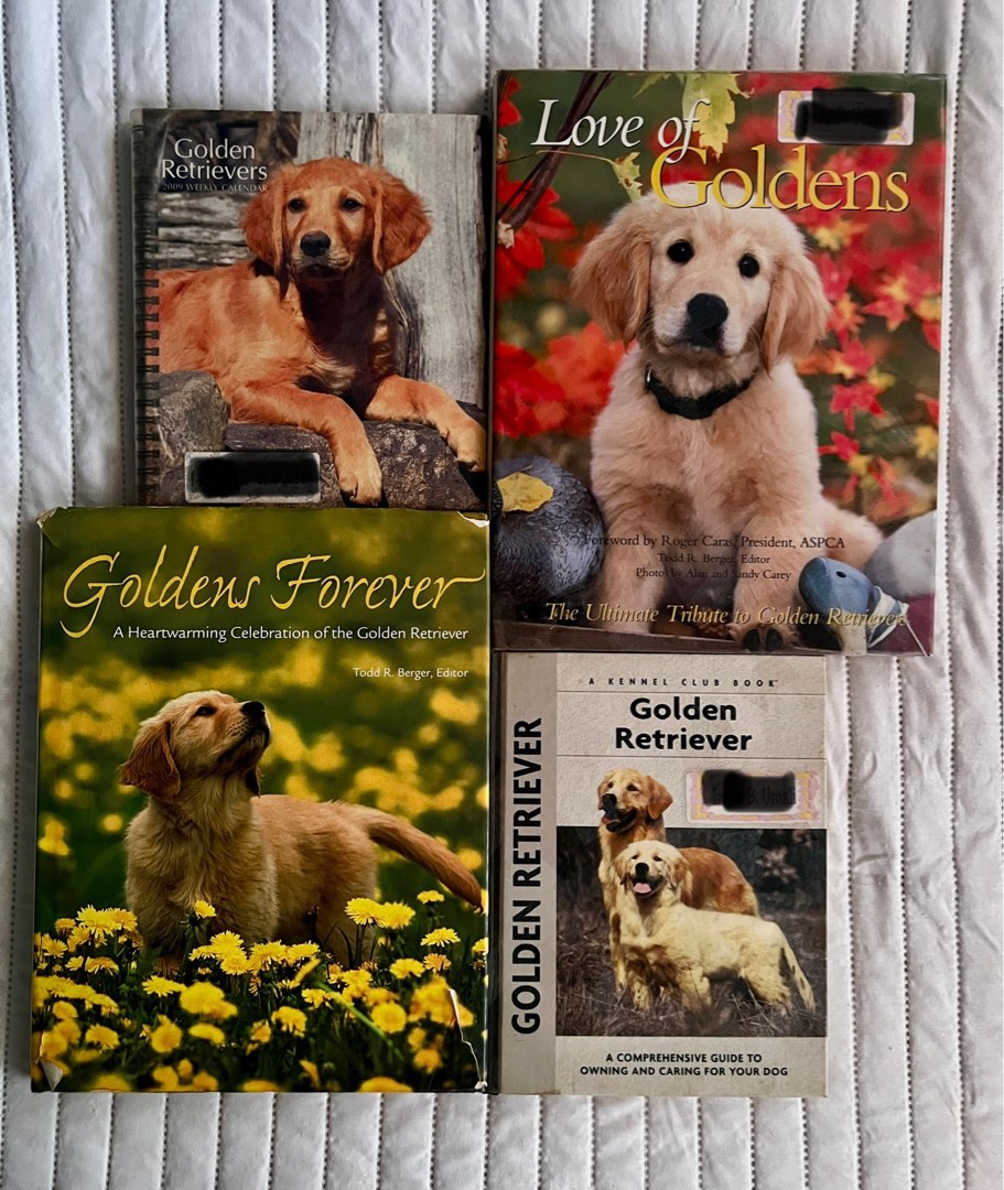 Golden Retriever Dogs (3-book bundle), Hobbies & Toys, Books ...