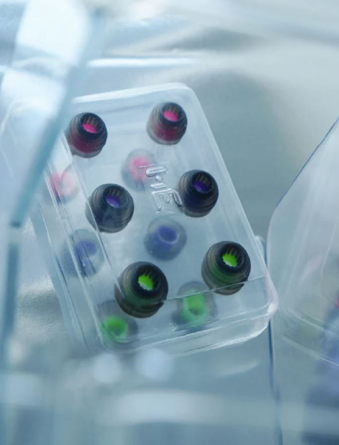 Harmonic Empire x TangZu Sonic Song of the Long River Eartips (IEM / Earphones / Earbuds / HiFi ...