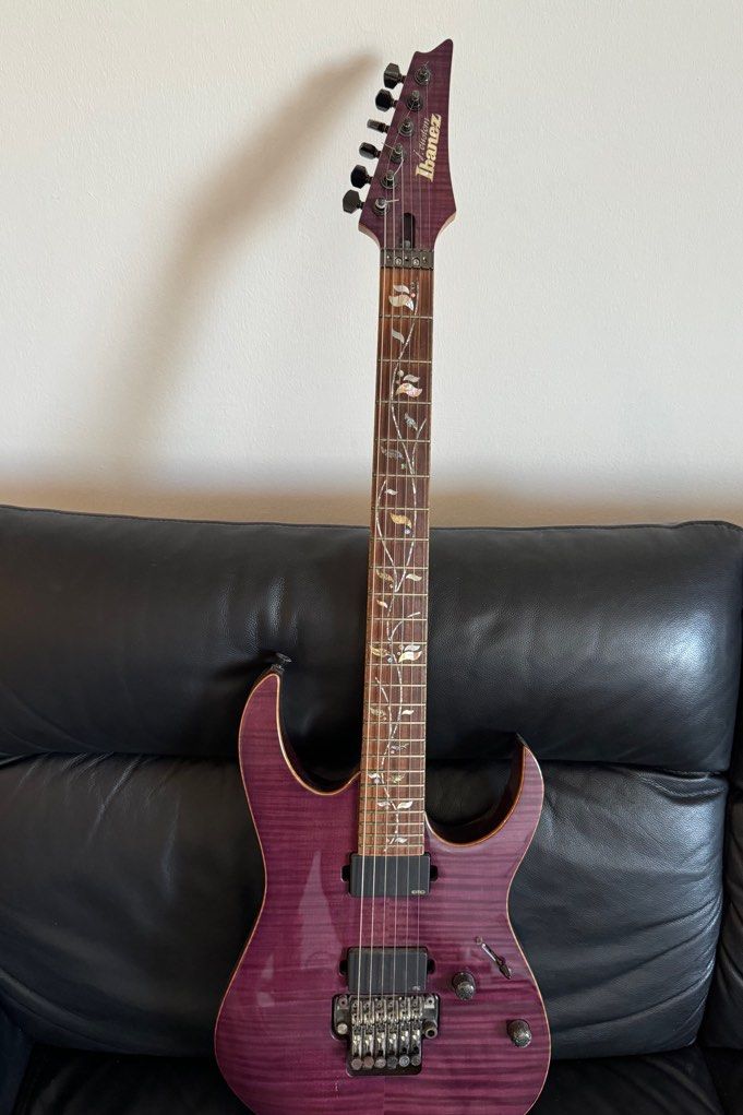 Ibanez J. Custom RG8420ZE-PA Electric Guitar, Hobbies & Toys, Musical ...