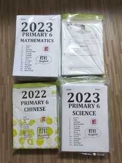 Past year exam papers - Primary 5 Maths/Mathematics, Hobbies & Toys ...