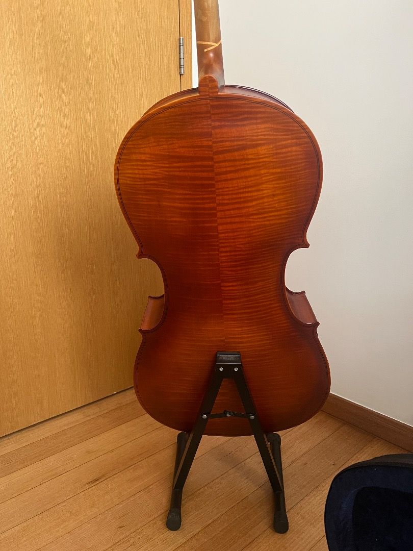 Cello (full sized - 4/4) + Wittner Cello Finetune Pegs - Price reduced ...